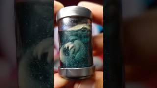 ASMR ???? INDOMINUS REX Jurassic World MINIVERSE ????