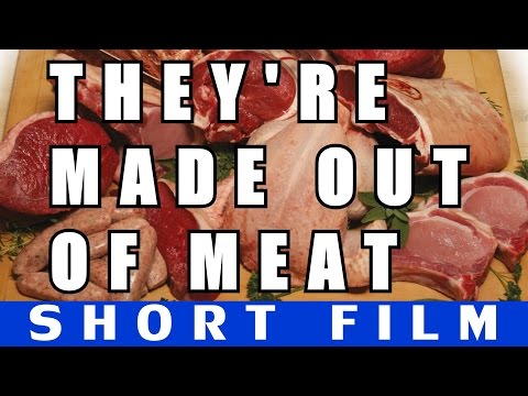 Insights 3 Videoita T4 They’re Made Out of Meat – Maxx Perälä's ...
