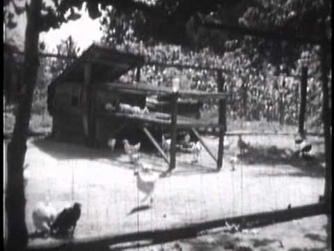 WWII US Homefront film, 1942 | Social Studies and History Teacher's Blog