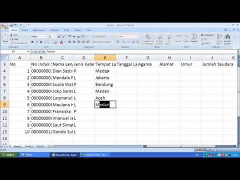 Membuat Tabel dan Meng Inputkan Data Microsoft Excel 2007 | HOMPIMPAA.COM