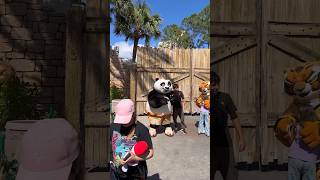 Kung-Fu Panda 🐼 Po & Tigress #kungfupanda #universal #dreamworks #universalstudios #fyp