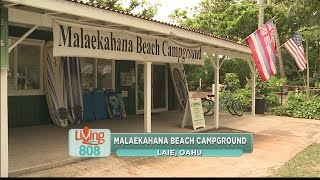 Experience Malaekahana Beach Campground!