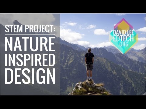 STEM Activity for 1st Grade: Nature-Inspired Design | David Lee EdTech