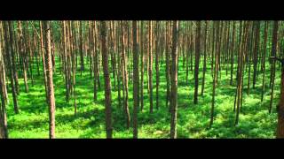 Goodnight Mommy Official Trailer
