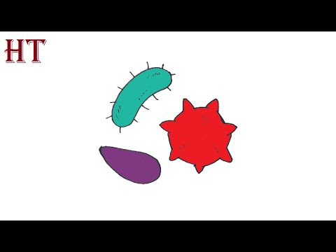 How to Draw Bacteria Step by Step – I'm Youtuber – Follow my videos to learn how to draw