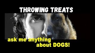 Throwing Treat on Floor is Dangerous - Dog Training Video - ask me anything