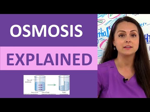 Osmosis and Osmolarity Explained