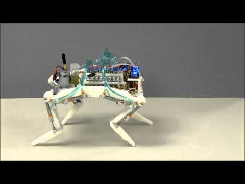 Miniature hydraulic quad walker – Marginally Clever Robots
