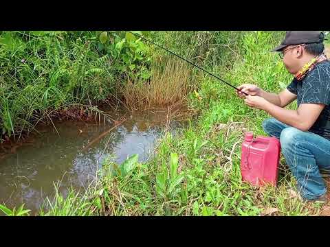 MANCING IKAN KECIL DI PARIT INI BANYAK SEKALI, ORANG PADA GAK TAU, KOLAM BAPAK BISA PENUH SAMA ...