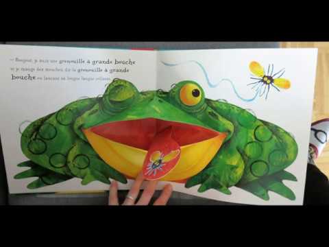 La grenouille à grande bouche | CP Badinter Laval