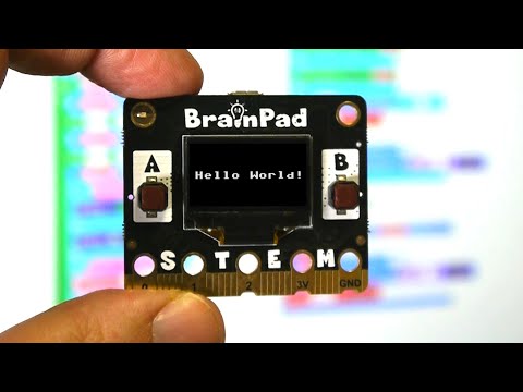 BrainPad – STEM MicroComputer