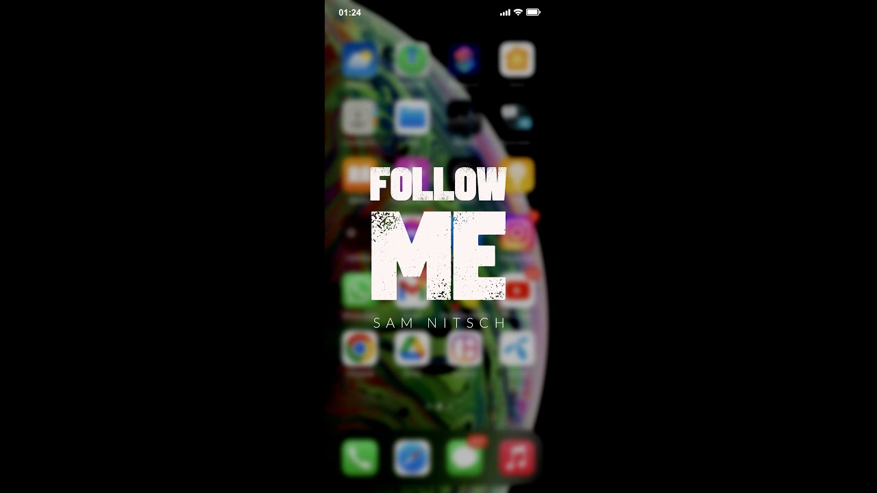 Rochester Artist Sam Nitsch Releases New Album