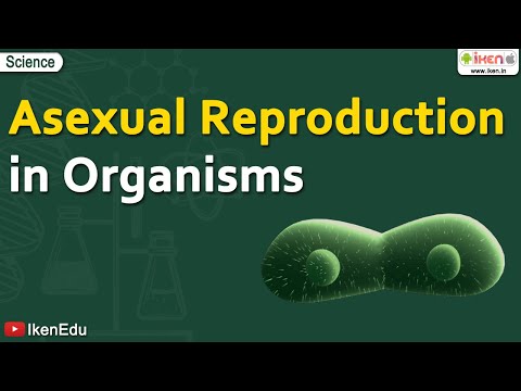 Asexual Reproduction – SCIENCE DEPT.