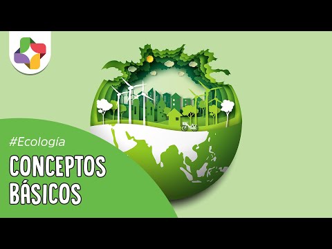 CONCEPTOS BASICOS DE ECOLOGIA | pedrosaromero