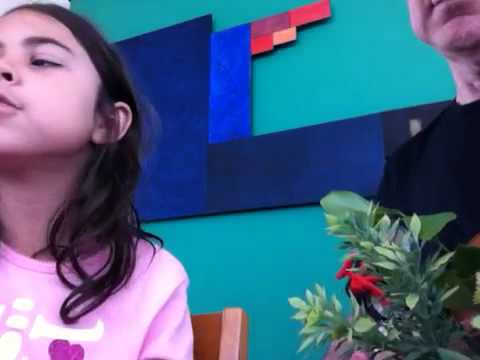 Alecrim dourado (Sofia) | Big unha