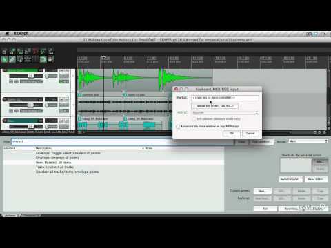 REAPER: An Exhaustive Review / ExtremRaym