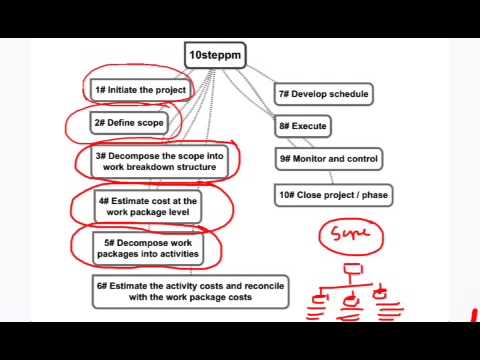 10 steps to professional project management | pmdistilledguide