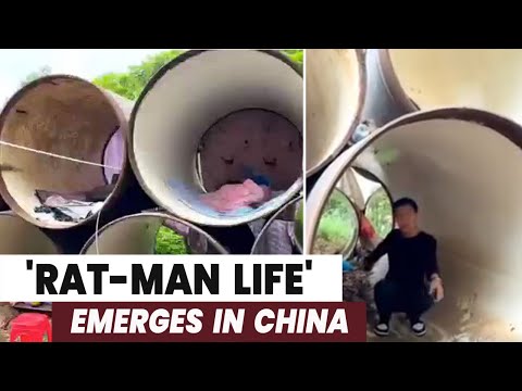The ‘Rat-man Life’ of Dongguan: Unemployed youth forced into a nomadic wilderness existence ...