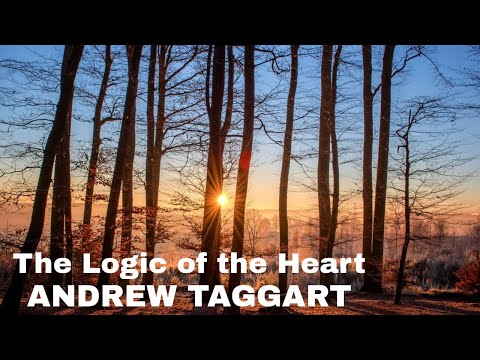 The Logic Of The Heart: My Discussion With Johannes Niederhauser ...