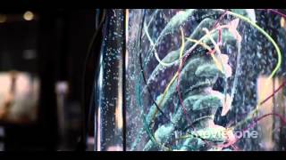 JURASSIC WORLD International Trailer #1 (2015) Chris Pratt Sci-Fi Movie HD