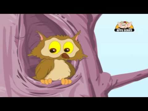 A Wise Old Owl | tinkerbellmagic