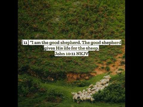 God Our Shepherd! John 10:1-18 #sermon | Unashamed of Jesus