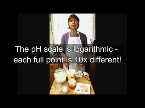 pH and Acid in Cheesemaking | Gianaclis Caldwell