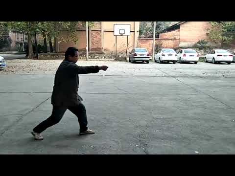 Xing Yi Quan by Tian Jinglong | The Tai Chi Notebook