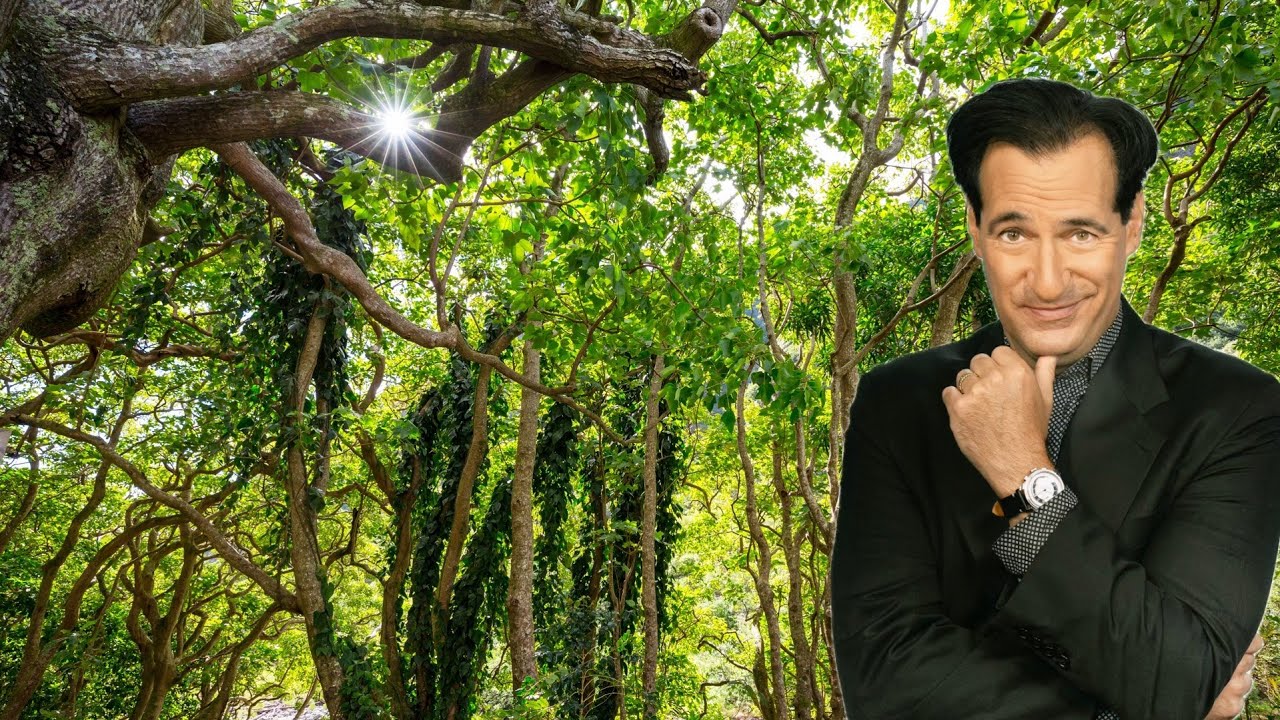 Waiting on a Ride...from Space