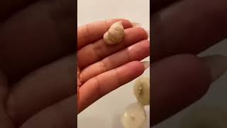 Trying the Dove Self-tanner ✨