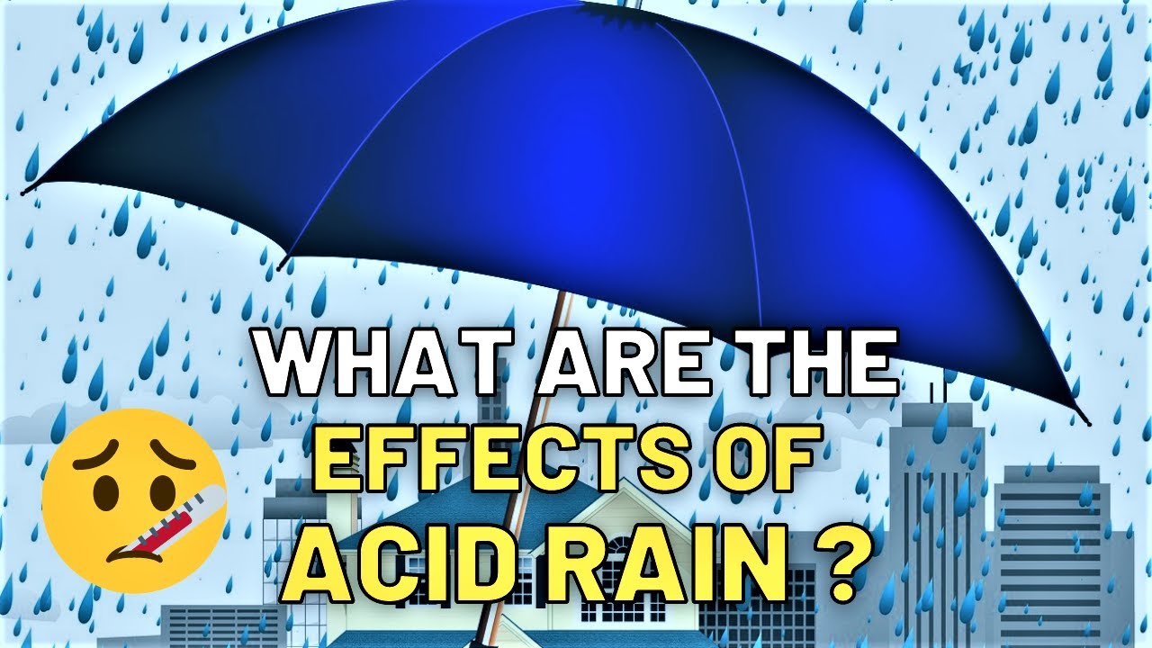 What Is Acid Rain? - RobinAge