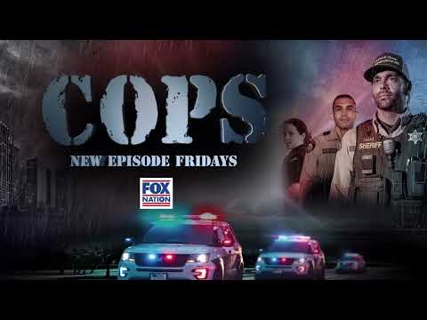 HowItWorks – COPS
