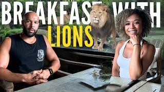 24 Hours In Bali's Safari Hotel | Mara River Safari Lodge