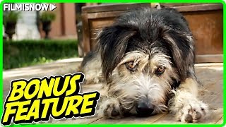 LADY AND THE TRAMP | Adoption Featurette (Disney+)