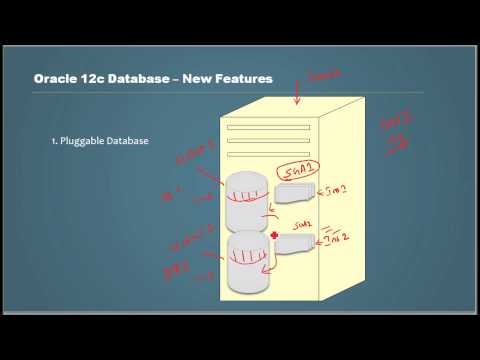 Oracle Database 10g New Data Loading Features: how to record and determine how a Oracle Database ...