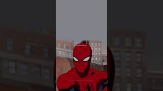 Spider-Man: Into the Spider-Verse IMDB : 8.6/10