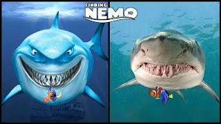 Finding Nemo Characters In Real Life And Other Favorites! | Nemo, Dory, Bruce