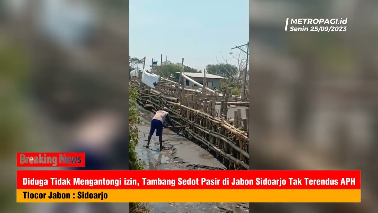Maraknya Aktifitas Penambang Pasir di Bibir Sungai Brantas Diduga Tak Berizin, APH Terkesan ...