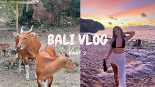 Mara River Safari & getting Bali Belly | BALI Vlog 2 ????