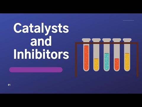 Catalyst and Inhibitors – Easy Peasy All-in-One Homeschool