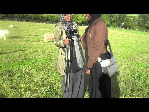 Degmo Farm: A Haven for the Restoration of our Nomadic Roots | The Blog of The Nomadic Empress...