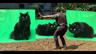 Jurassic Park - Behind The Scenes