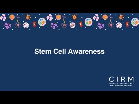 Stem Cell Awareness: What are stem cells and why research is important | The Stem Cellar