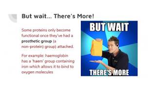 1.4 Proteins (A Level Biology)