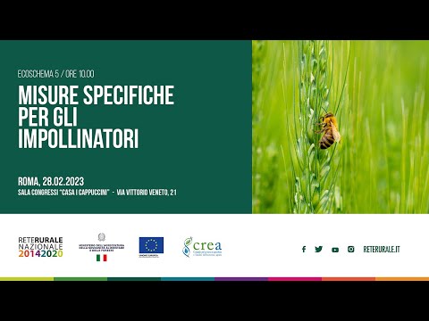 ECOSCHEMA N 5 – Dott. Alessio Santoni