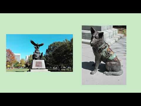 Confederation Park – CLB 1/2, listening, grammar, quiz – English Lesson ...
