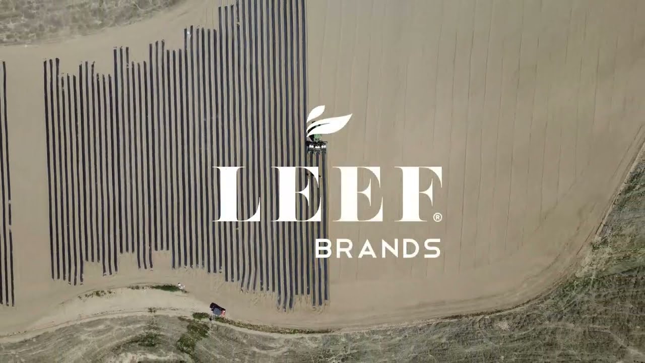 LEEF Brands Begins Planting Salisbury Canyon Ranch, One of the Largest Cannabis Farms in the ...