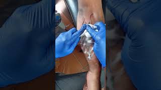 COMPASS TATTOO #compass tattoo timelapse #Shorts #colourink#Trending#love#Jack sparrow #shorts