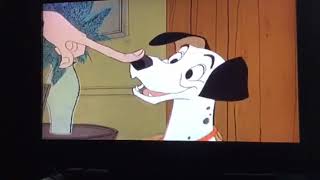 Lady And the Tramp 1955 Dogs