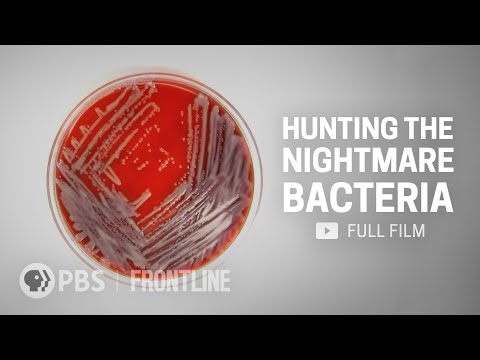 PBS: Frontline – Hunting The Nightmare Bacteria – When Antibiotics Don ...
